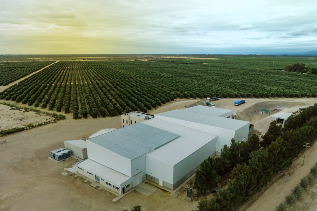 Inauguran nueva planta de aceite de oliva en San Juan - El Agora
